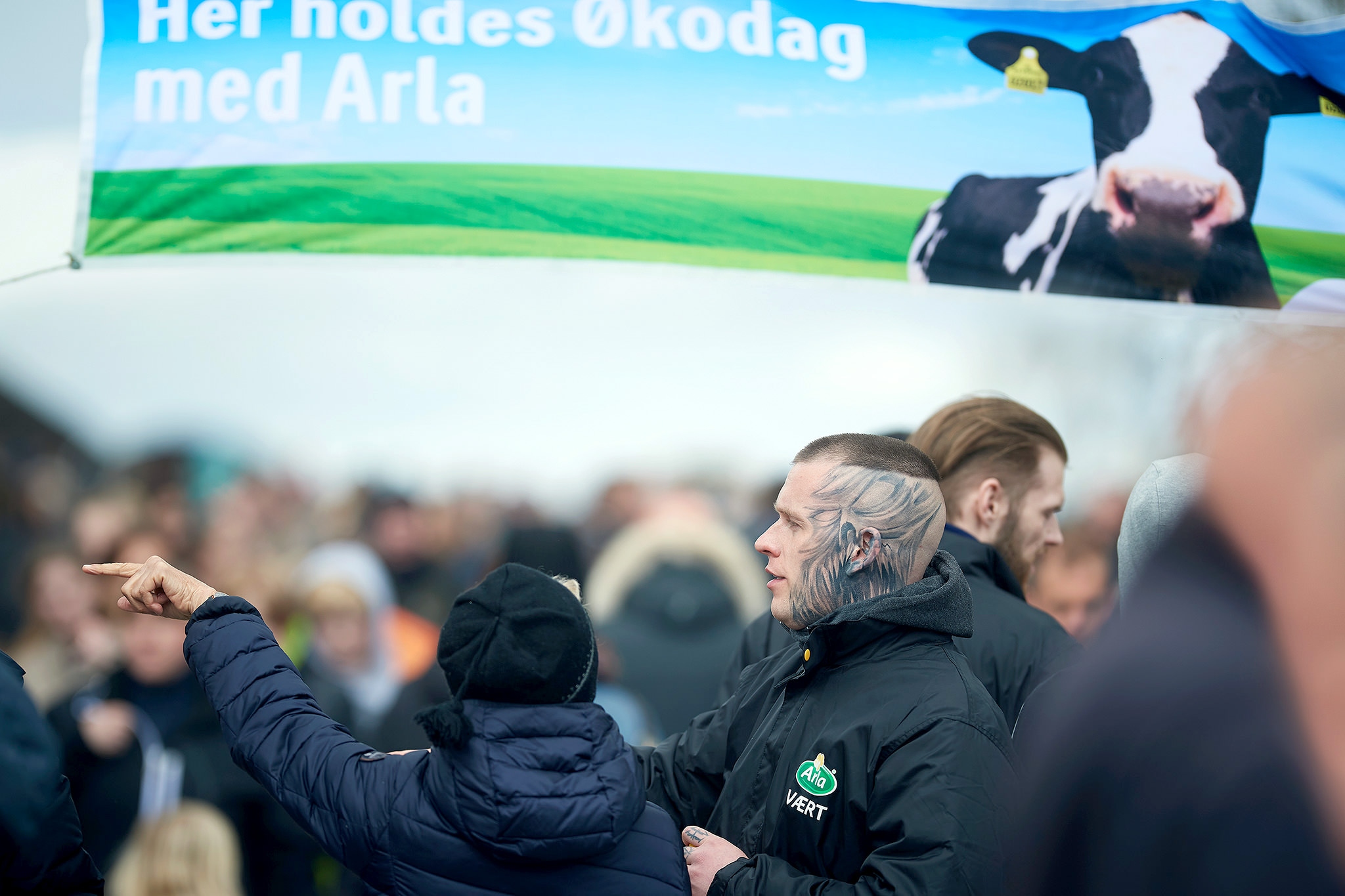 Vores bedste billeder fra 2017 | Fotomalia